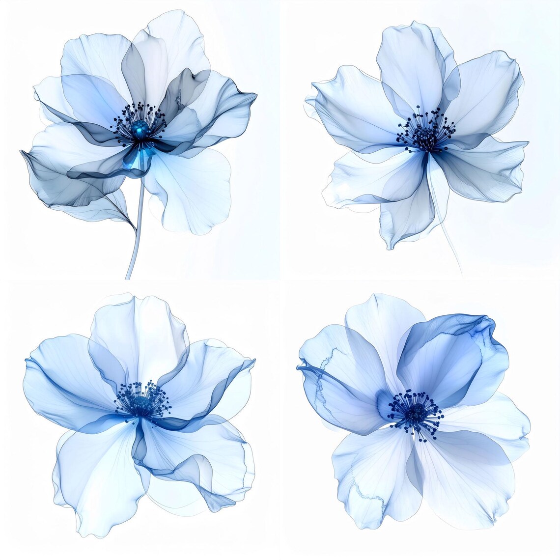 12 Blue Ghost Flower Clipart Fantasy Ink Style Floral Art Botanical ...