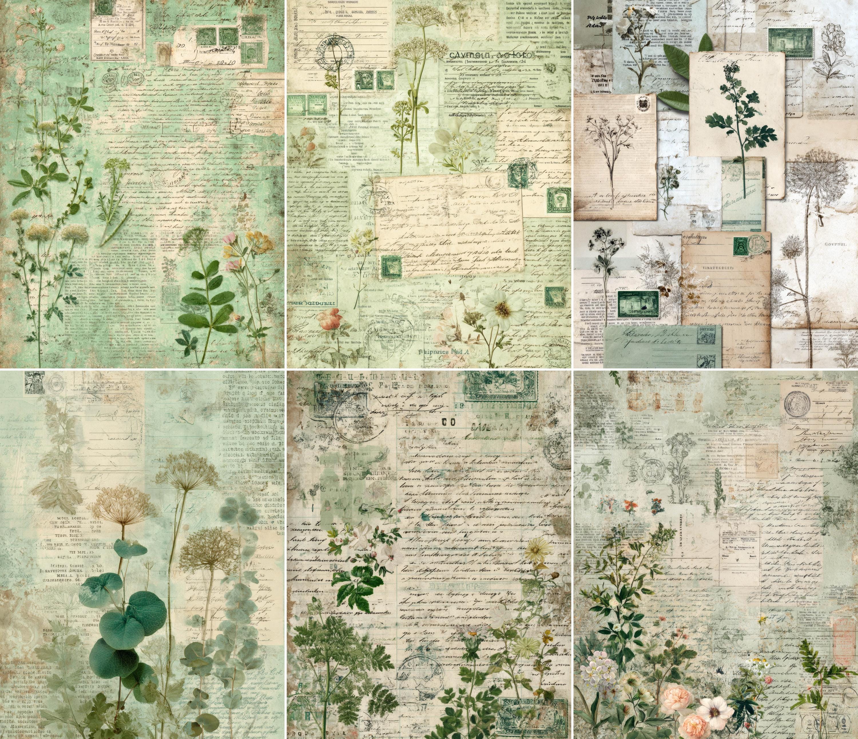 52 Vintage Floral Pages, Botanical Junk Journal Pages, Soft Green ...