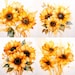 Sunflower Clipart Bundle Watercolor Sunflower Bouquet Bright Yellow ...