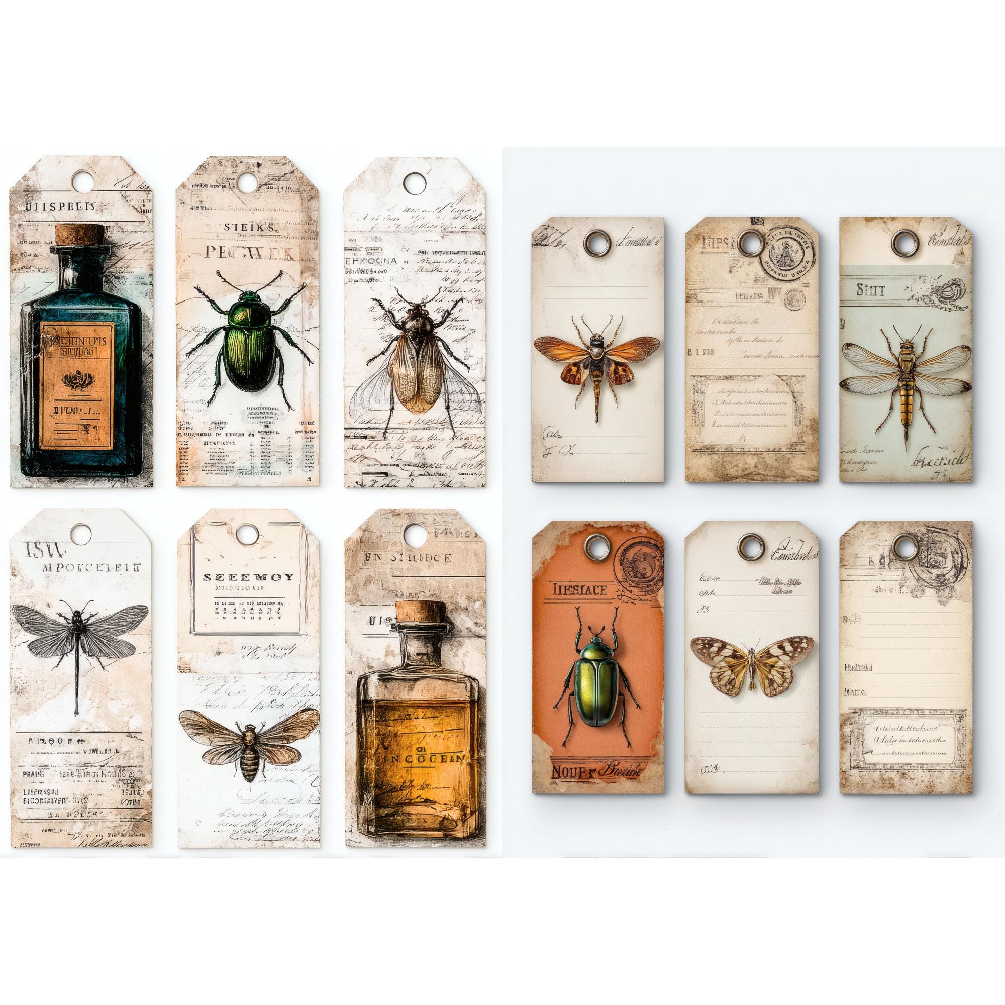 Insect Pocket Labels Printable, Bug Journal Labels, Vintage Insect ...