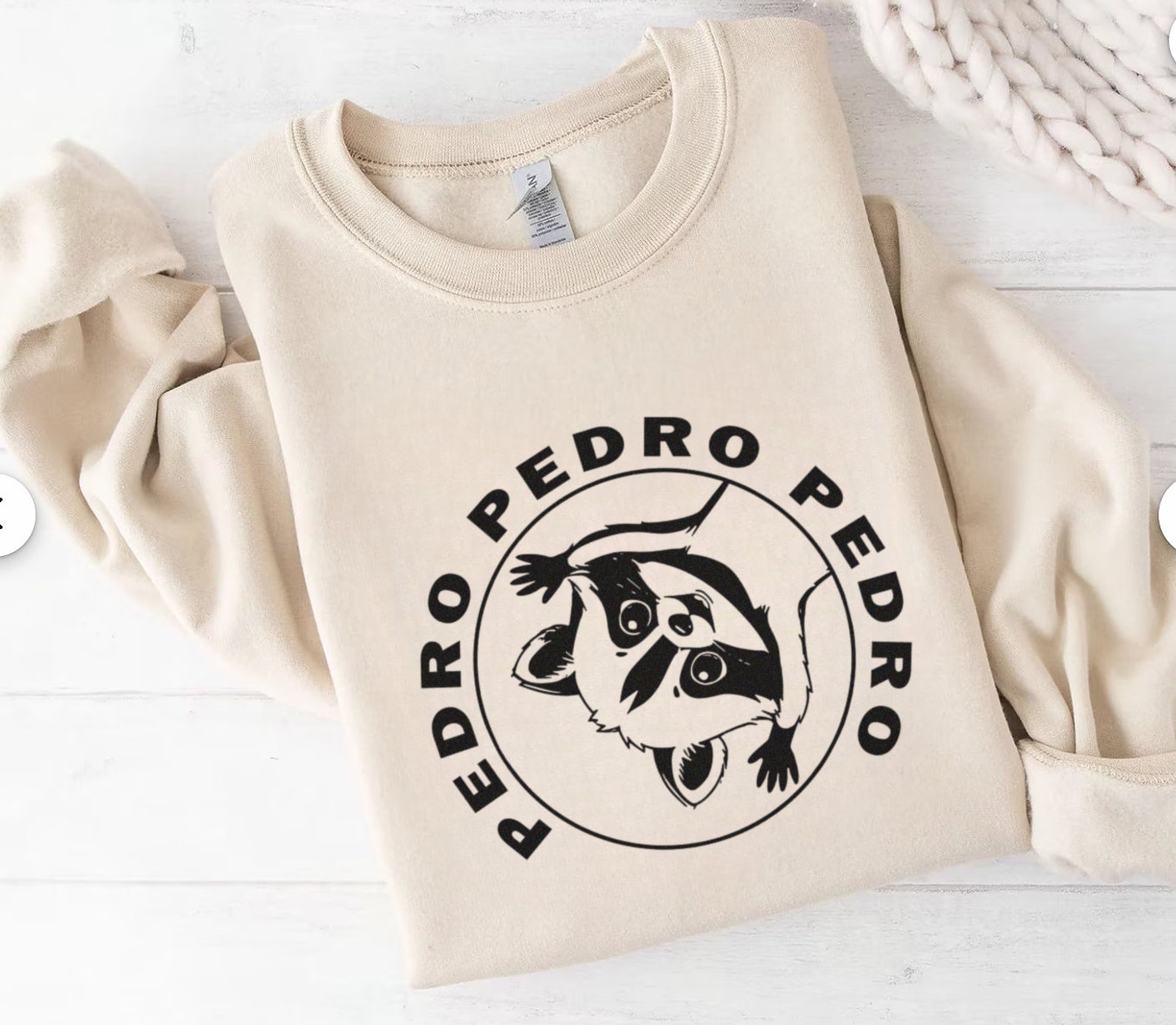 Pedro Pe Raccoon, Tik Tok Viral Raccon Png, Raccon Pedro SVG, Tik Tok ...