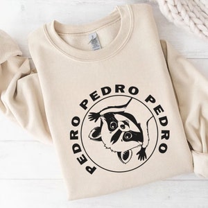 Pedro Pe Raccoon, Tik Tok Viral Raccon Png, Raccon Pedro SVG, Tik Tok ...