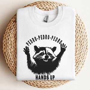 Raccon Dancing Pedro, Tik Tok Viral Raccon Png, Raccon Pedro SVG, Tik ...