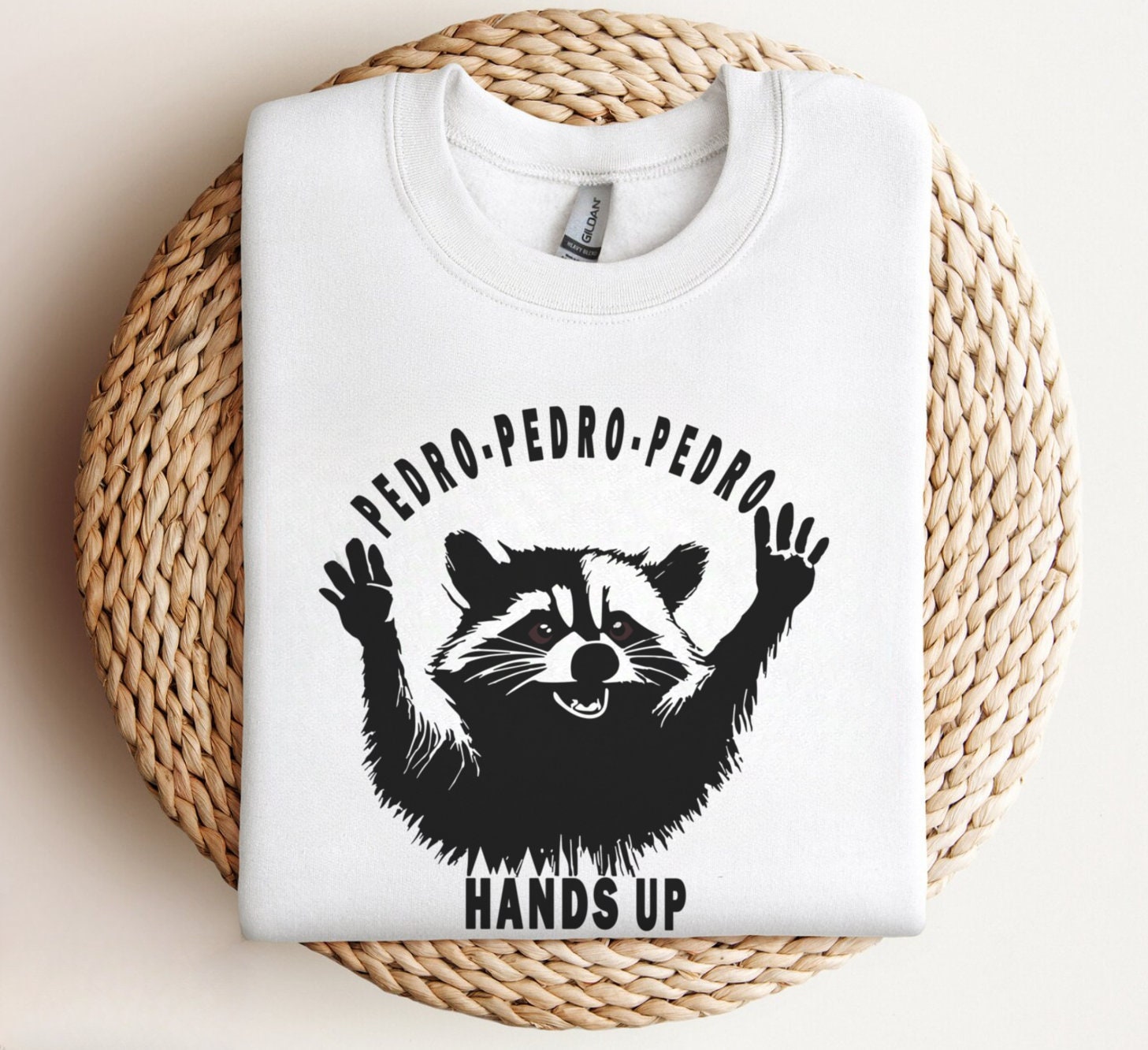 Raccon Dancing Pedro, Tik Tok Viral Raccon Png, Raccon Pedro SVG, Tik ...