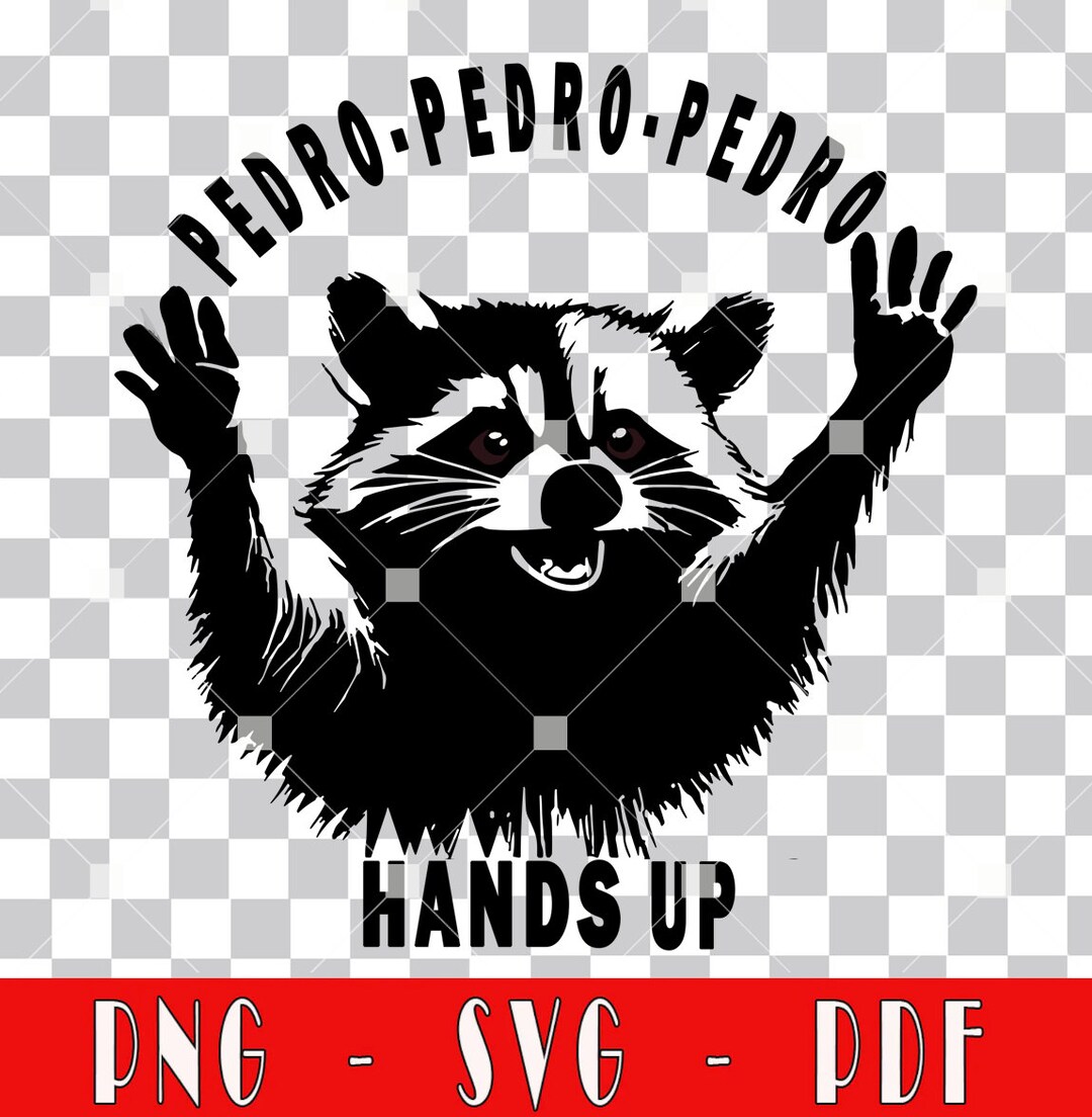 Raccon Dancing Pedro, Tik Tok Viral Raccon Png, Raccon Pedro SVG, Tik ...