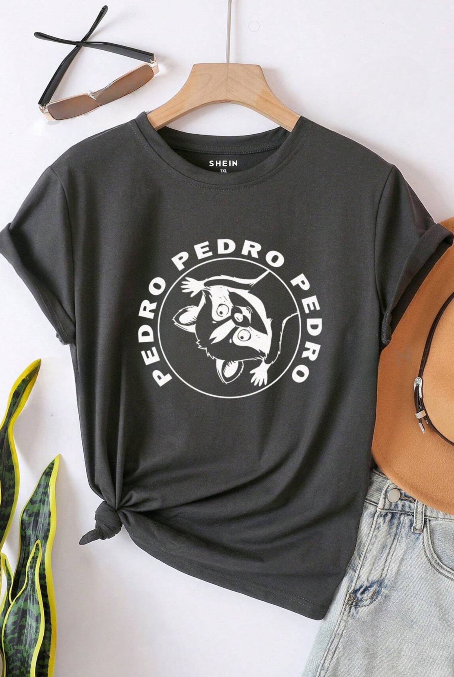 Pedro Pe Raccoon, Tik Tok Viral Raccon Png, Raccon Pedro SVG, Tik Tok ...