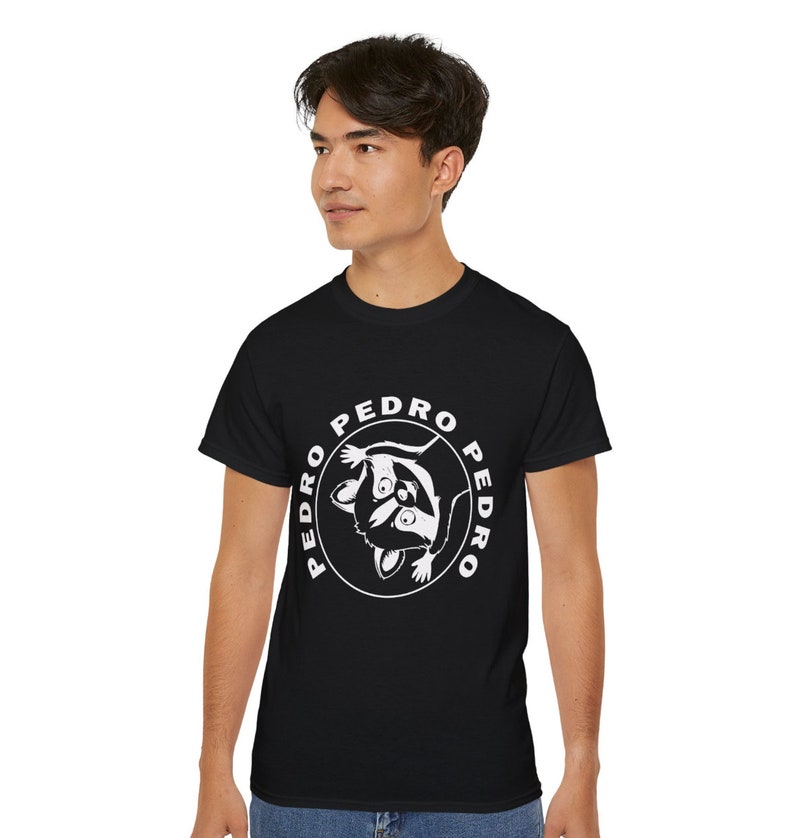 Pedro Pe Raccoon, Tik Tok Viral Raccon Png, Raccon Pedro SVG, Tik Tok ...