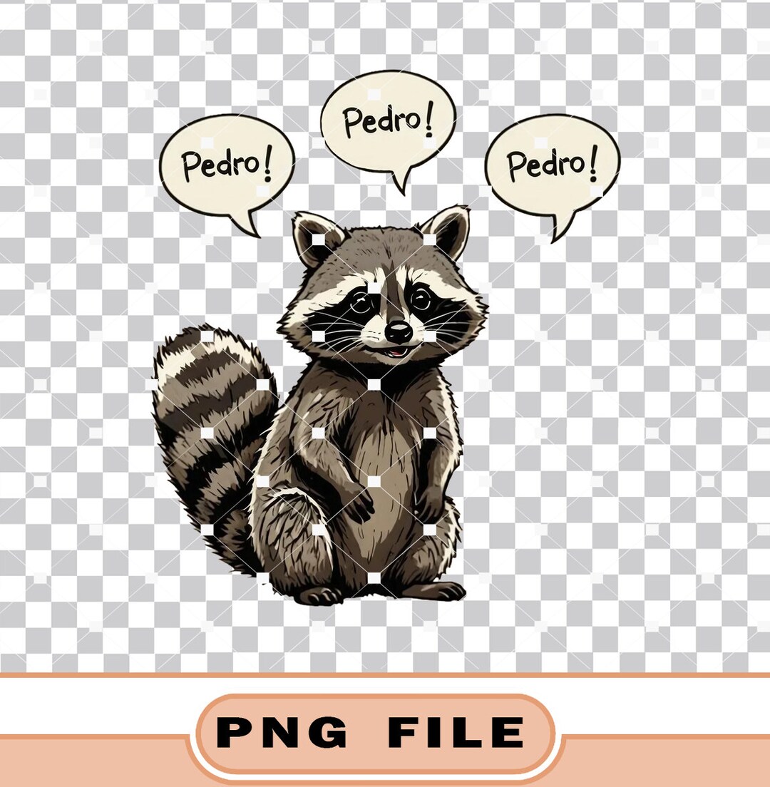 Pedro Pe Raccoon, Tik Tok Viral Raccon Png, Raccon Pedro SVG, Tik Tok ...