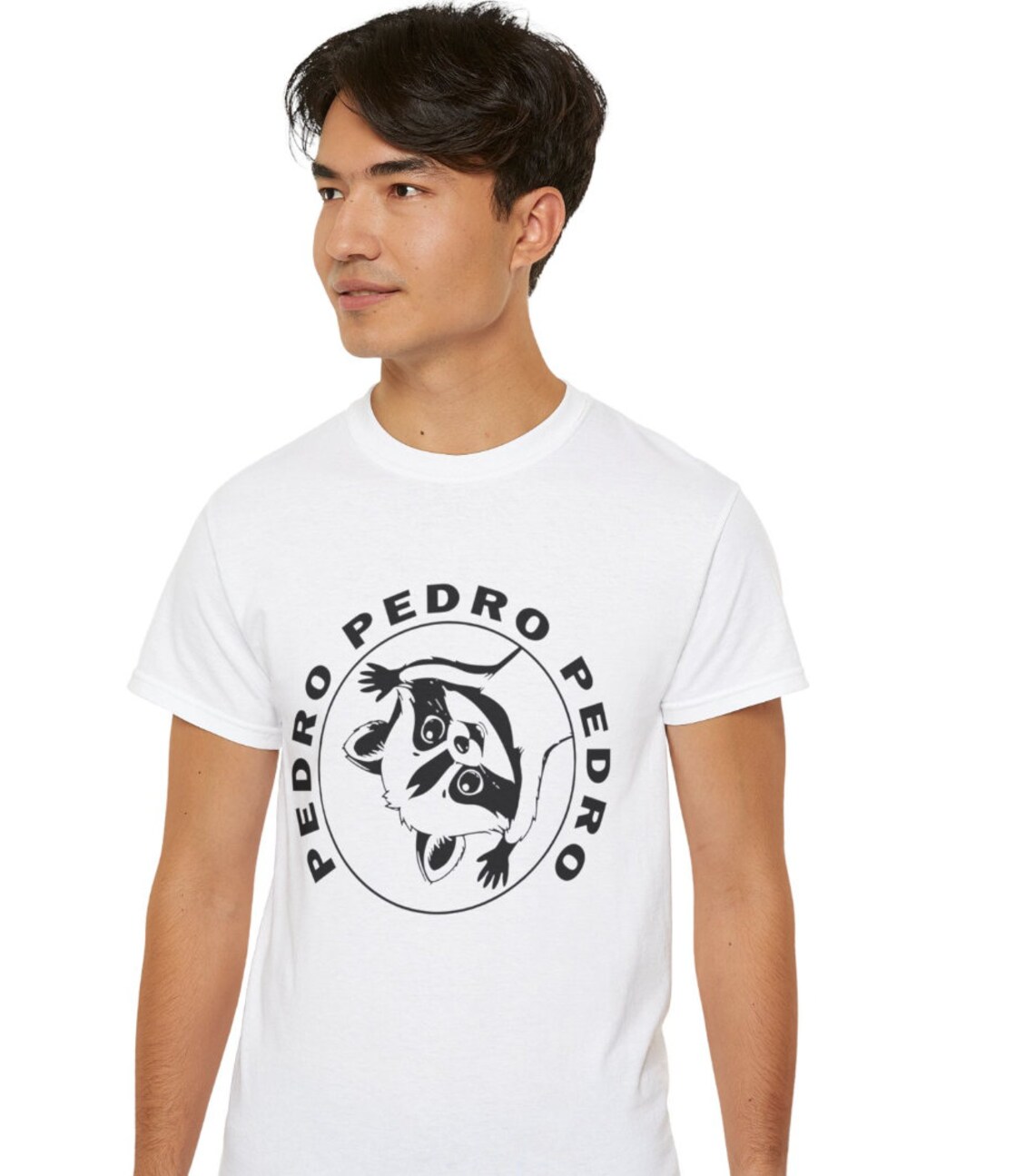 Pedro Pe Raccoon, Tik Tok Viral Raccon Png, Raccon Pedro SVG, Tik Tok ...