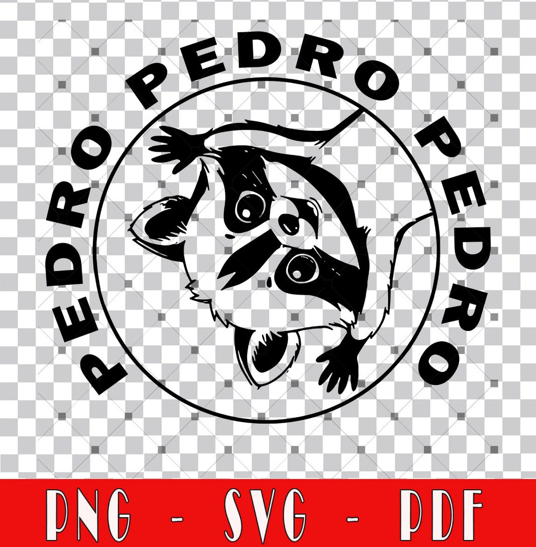 Pedro Pe Raccoon, Tik Tok Viral Raccon Png, Raccon Pedro SVG, Tik Tok ...