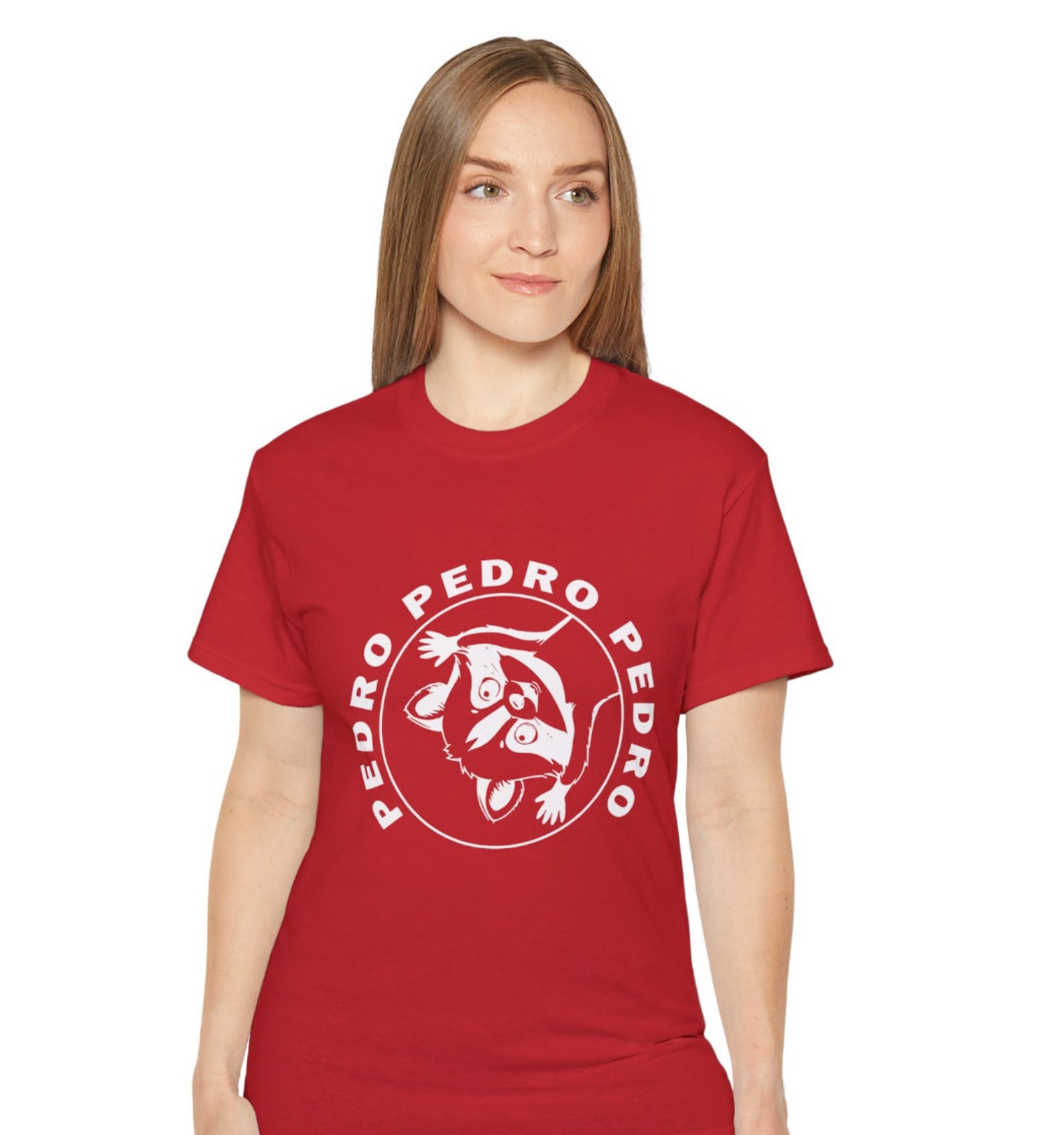 Pedro Pe Raccoon, Tik Tok Viral Raccon Png, Raccon Pedro SVG, Tik Tok ...