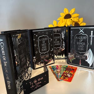 Custom ACOTAR Silver Sprayed Edges Rebound Books - Turn Any Paperback ...