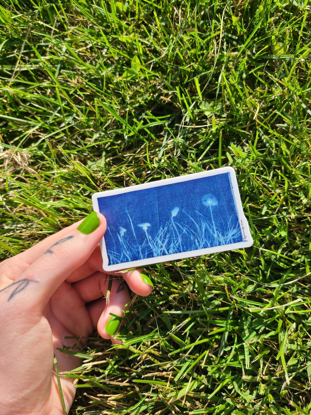 Cyanotype Dandelion Photogram Sticker | 3-inch Vinyl Sticker ...