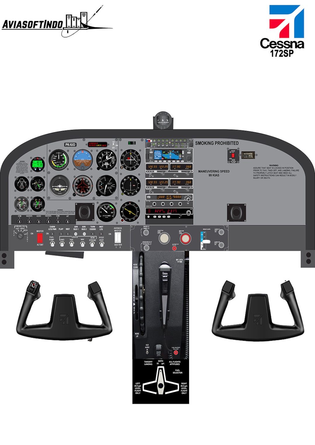 Cessna 172R/172SP, Cessna 172 Analog, Cessna 172 Cockpit Poster Digital ...