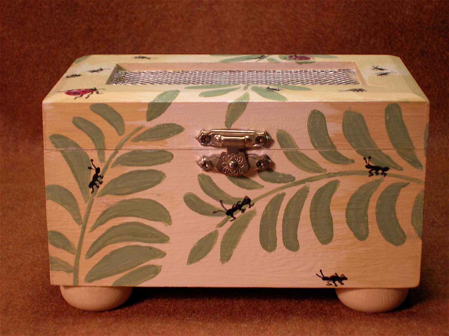 Fun Jewelry Box With Ants and Lady Bug, Conversational Nature Box ...