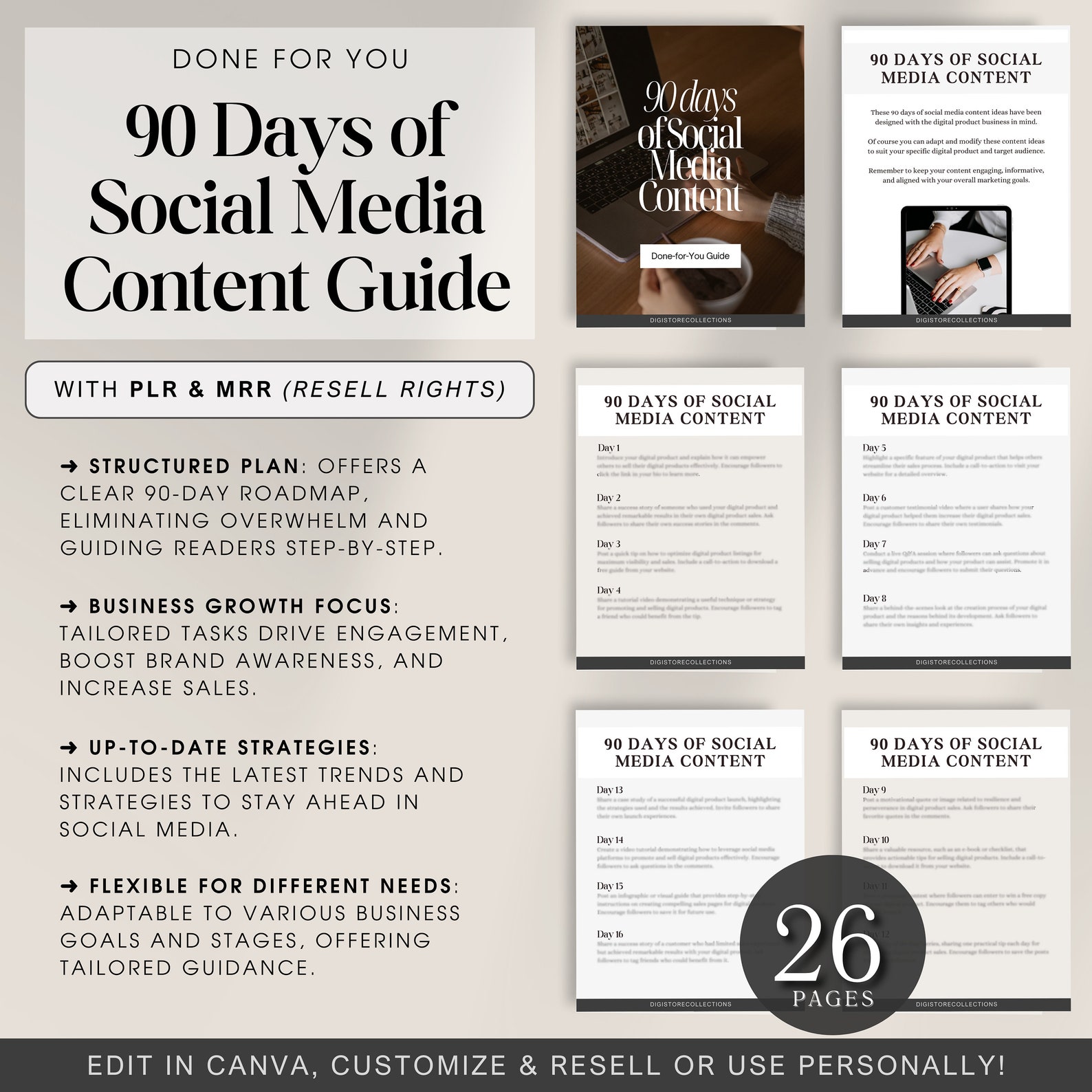 90 Days of Social Media PLR MRR Guide, Done for You Guide, Editable ...