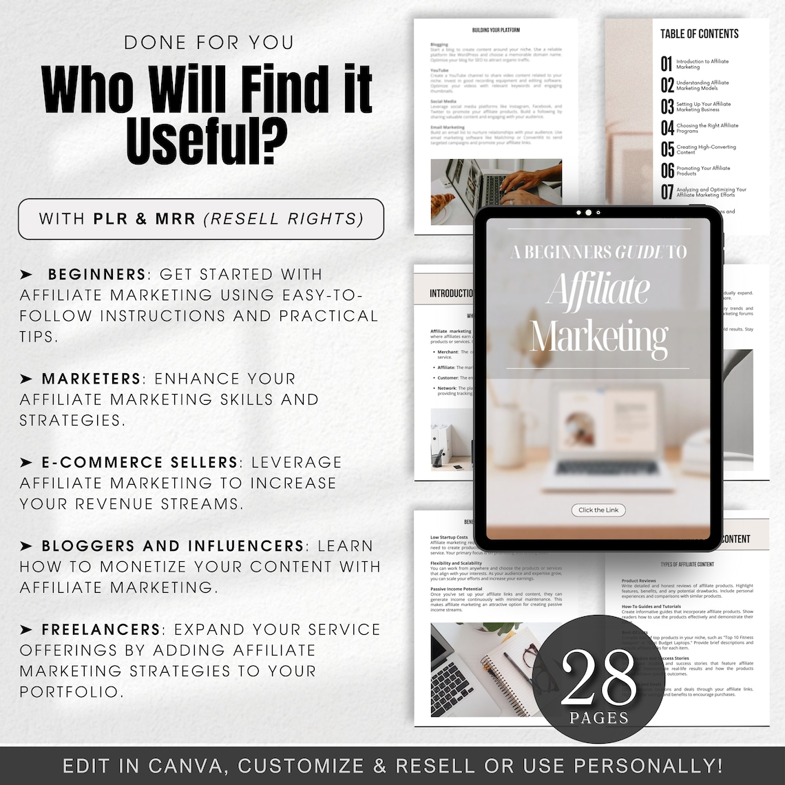 Beginners Guide to Affiliate Marketing Ebook MRR PLR Resell Rights, DFY ...