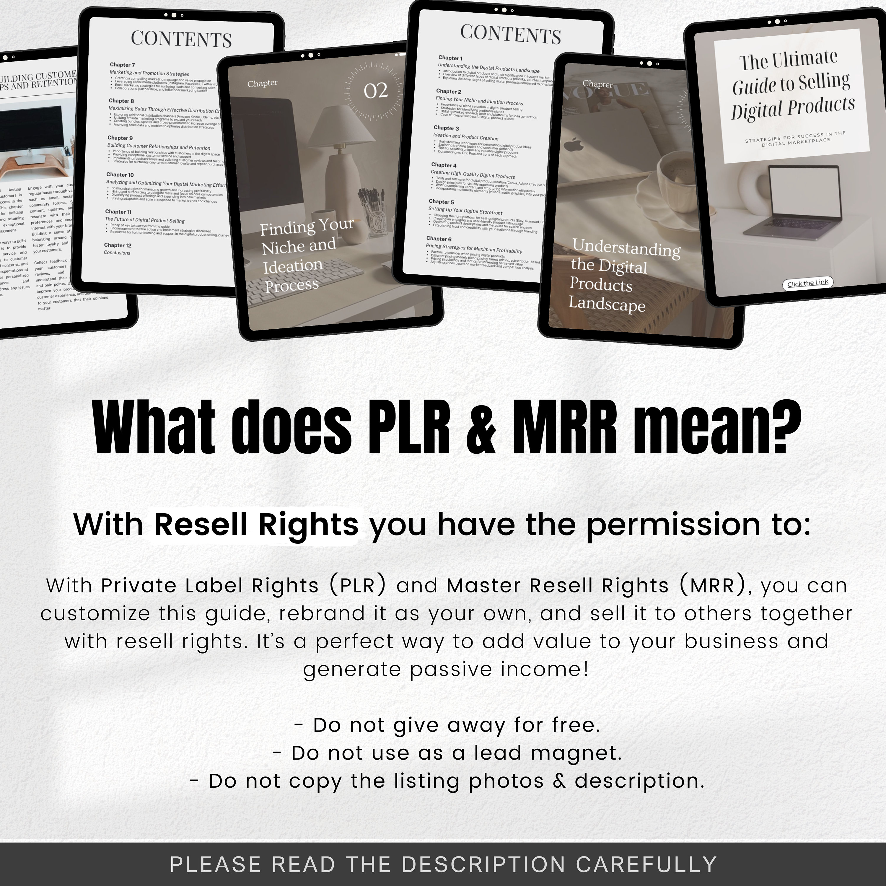 PLR & MRR Guide to Selling Digital Products Master Resell Rights ...