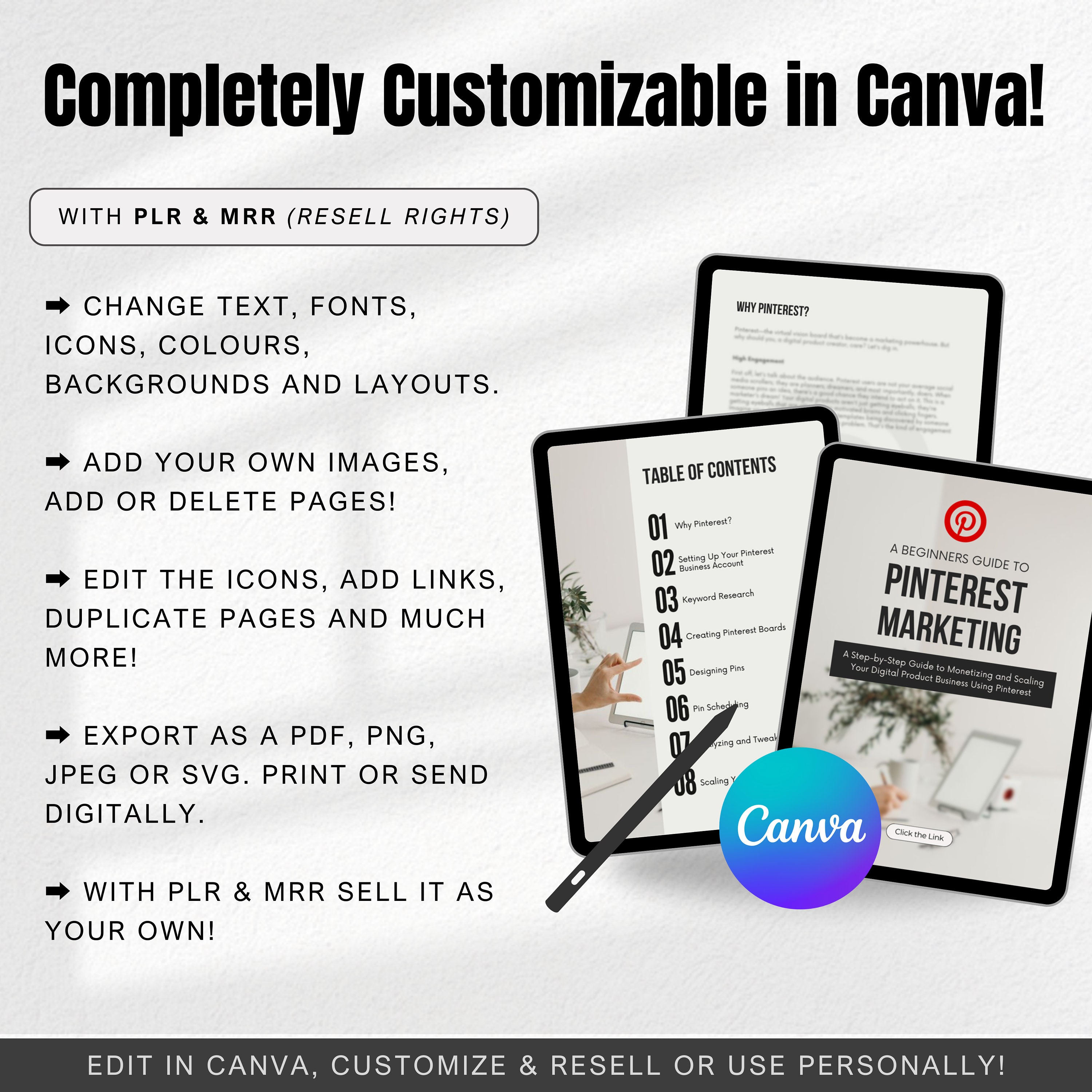 Beginners Guide to Pinterest Marketing MRR PLR | Resell Digital ...
