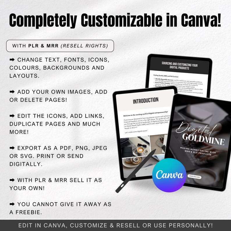 Digital Goldmine Guide Passive Income With MRR & PLR Products Private Label Rights Master Resell ...