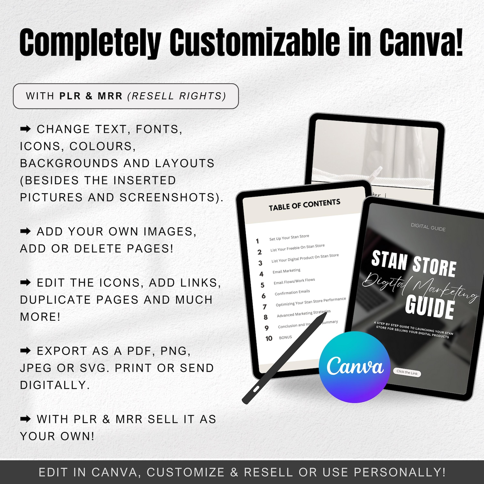 How to Set up Stan Store PLR MRR Guide Private Label Rights Master ...