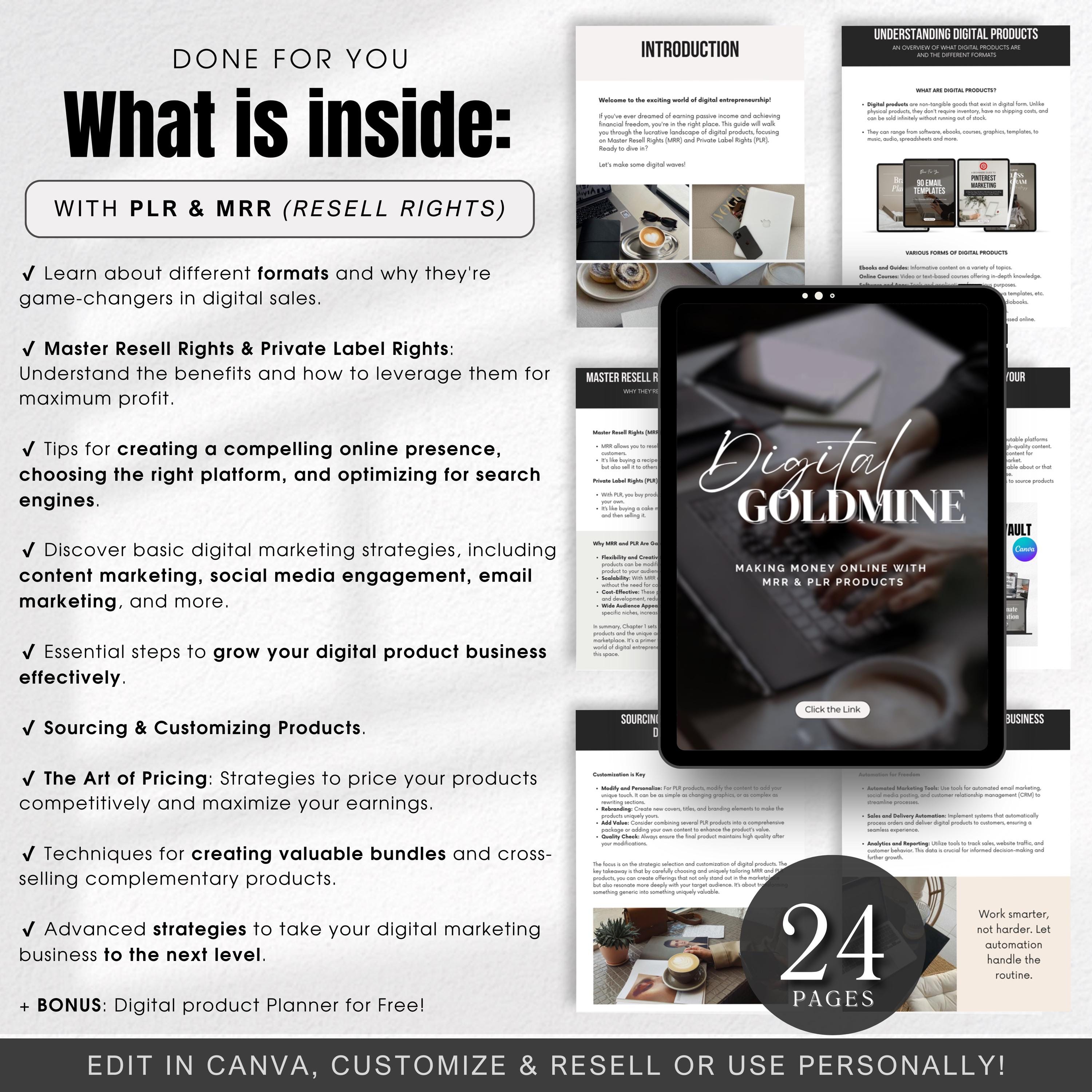 Digital Goldmine Guide Passive Income With MRR & PLR Products Private Label Rights Master Resell ...