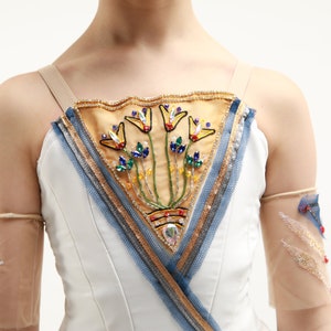 Costume for a Choreographic Competition Ballet the Pharaoh’s Daughter ...