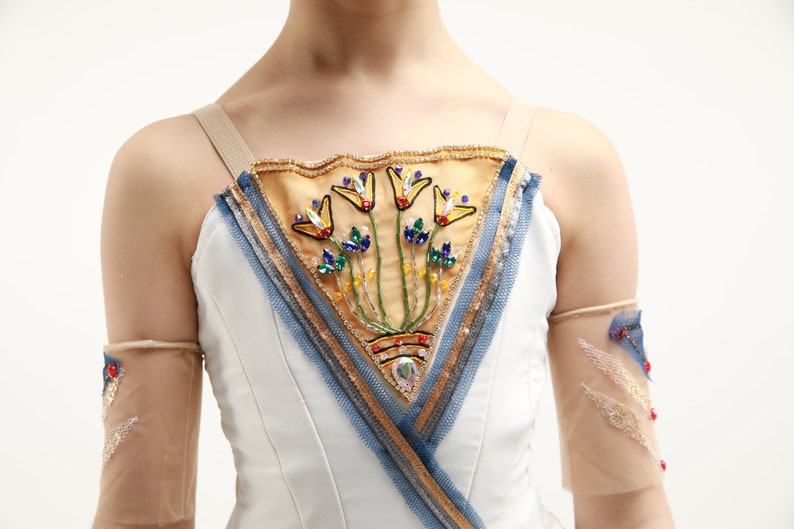 Costume for a Choreographic Competition Ballet the Pharaoh’s Daughter ...