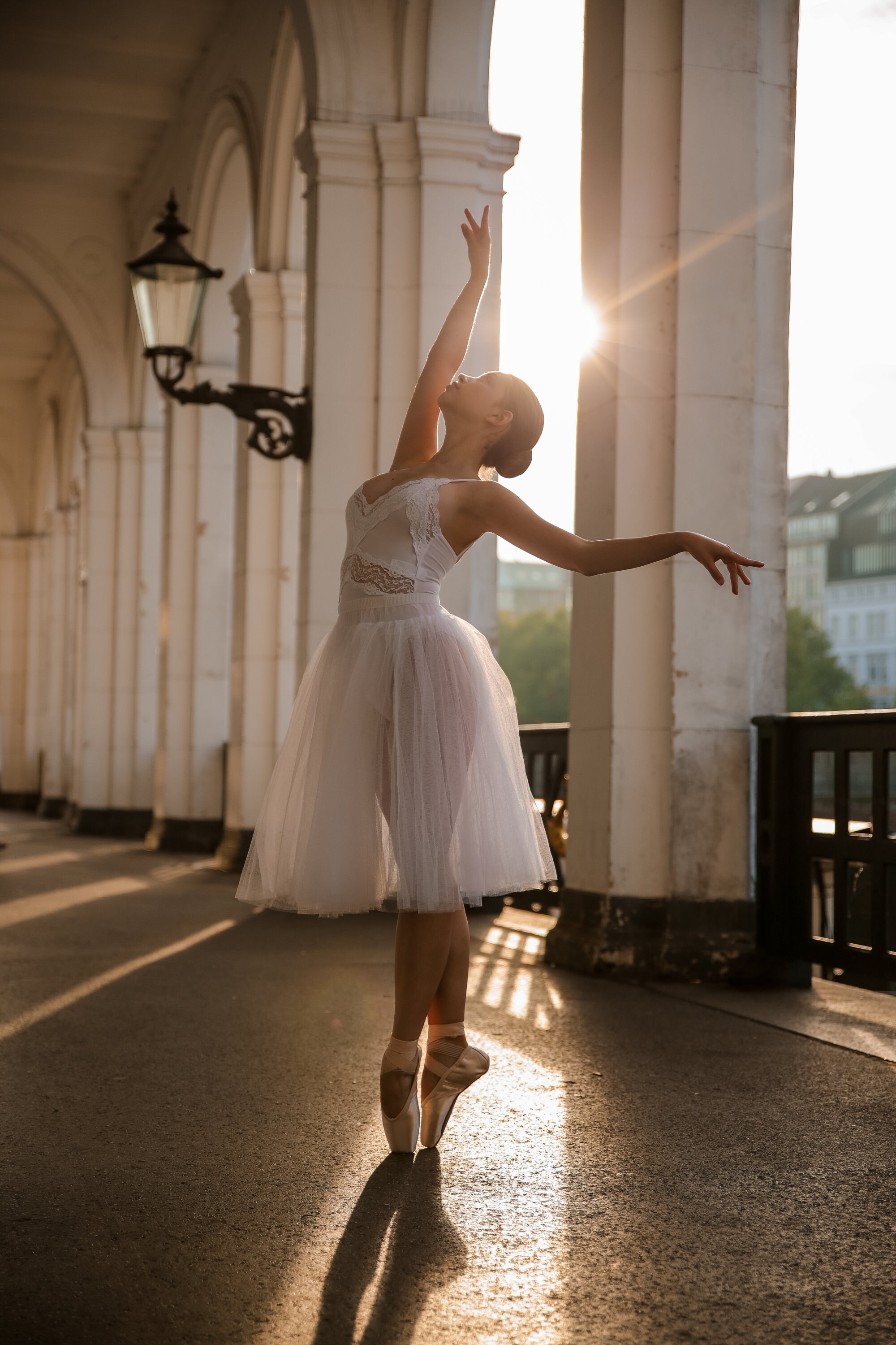 Ballet Skirt Ballet Dance Wear Tutu Dress Professional Tulle Skirt ...