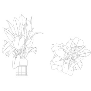 2D PLANTS MODELS for Autocad , Archicad , Architectural and Design ...