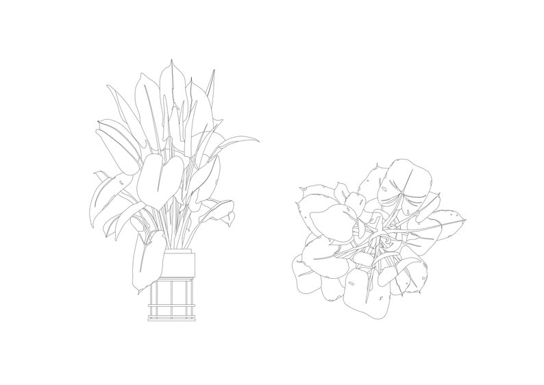 2D PLANTS MODELS for Autocad , Archicad , Architectural and Design ...