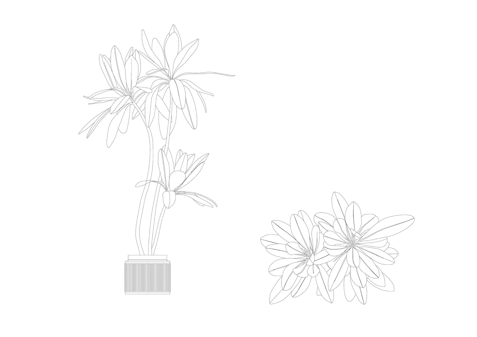 2D PLANTS MODELS for Autocad , Archicad , Architectural and Design ...