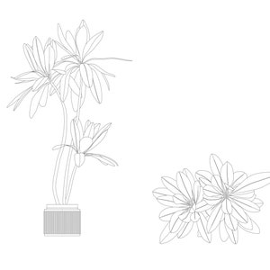 2D PLANTS MODELS for Autocad , Archicad , Architectural and Design ...