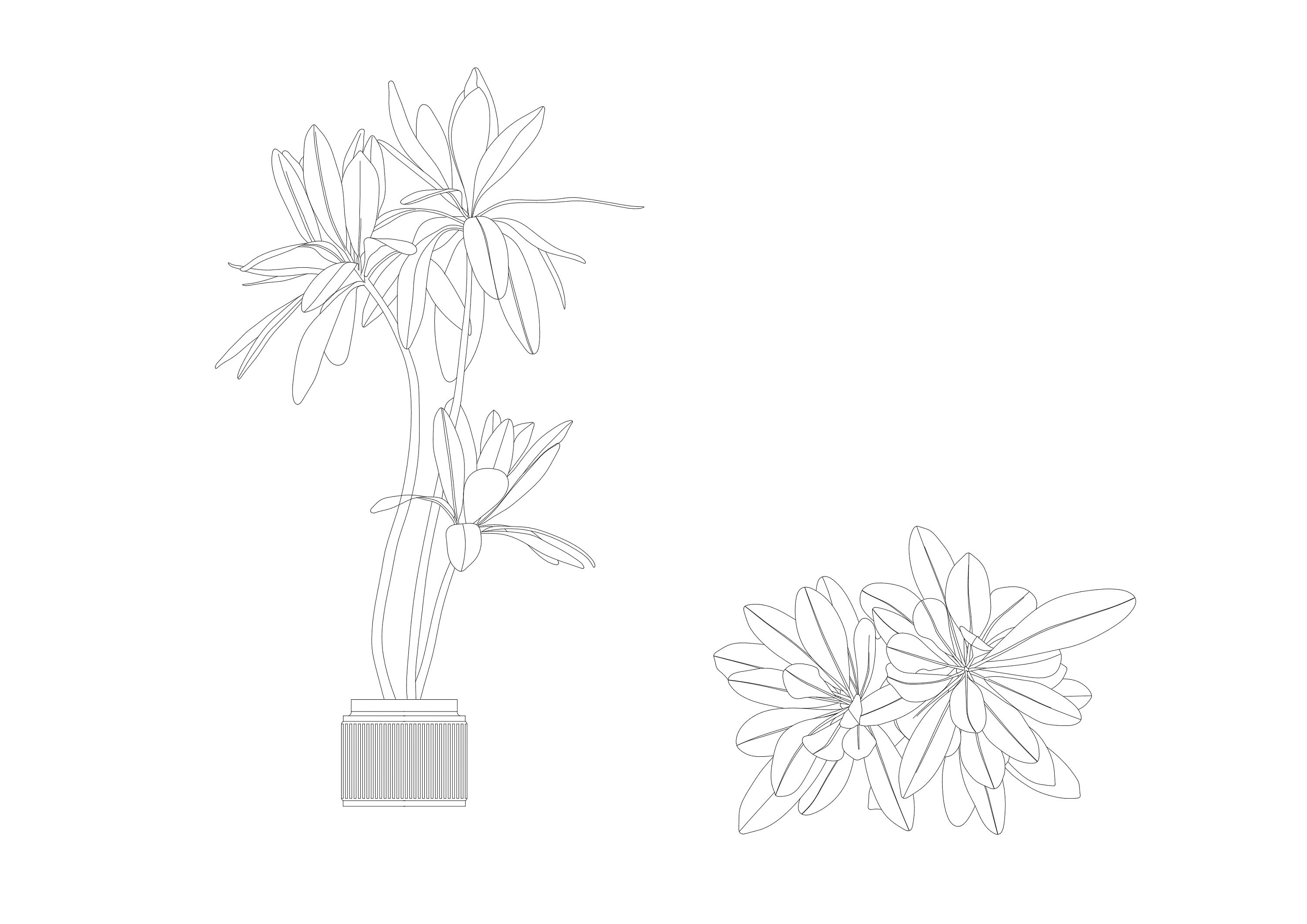 2D PLANTS MODELS for Autocad , Archicad , Architectural and Design ...