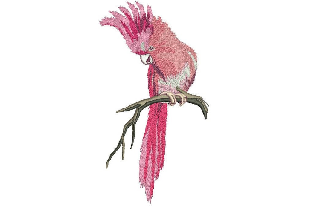 Australian Pink Cockatoo Bird Machine Embroidery File Design 5x7 Hoop ...