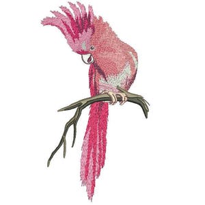 Australian Pink Cockatoo Bird Machine Embroidery File Design 5x7 Hoop ...