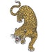 Leopard Machine Embroidery File Design - 5x7 Inch Hoop - Instant ...