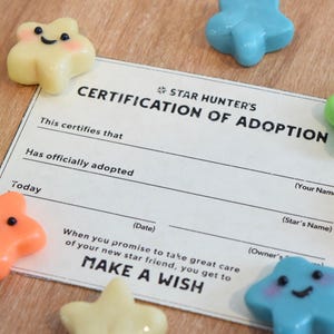 Adopt a Cheeky Shooting Star Desk Pet, Magic Glow in the Dark Handmade ...