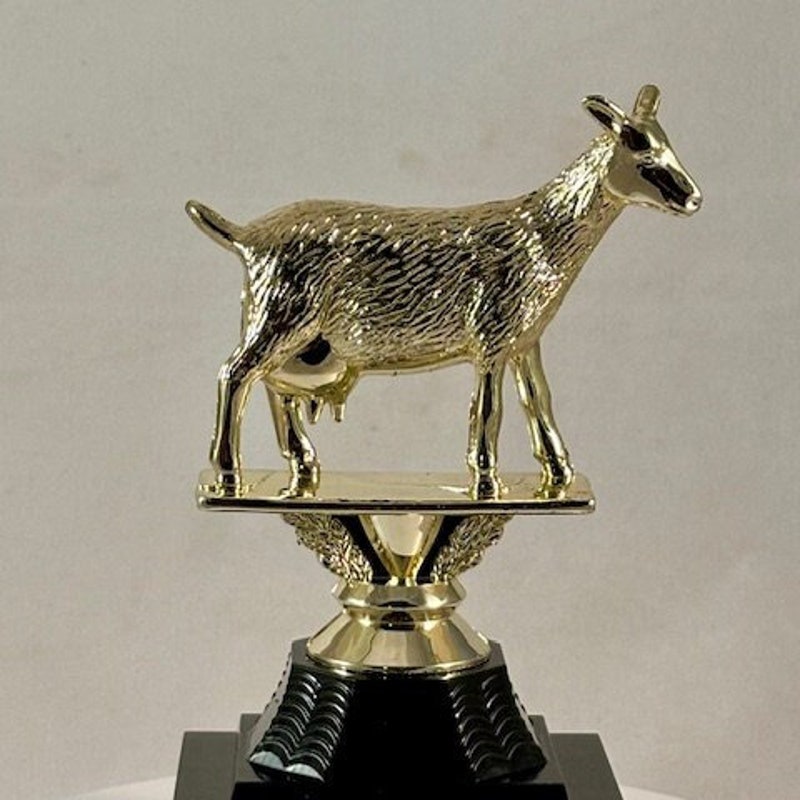 Trophy - Etsy