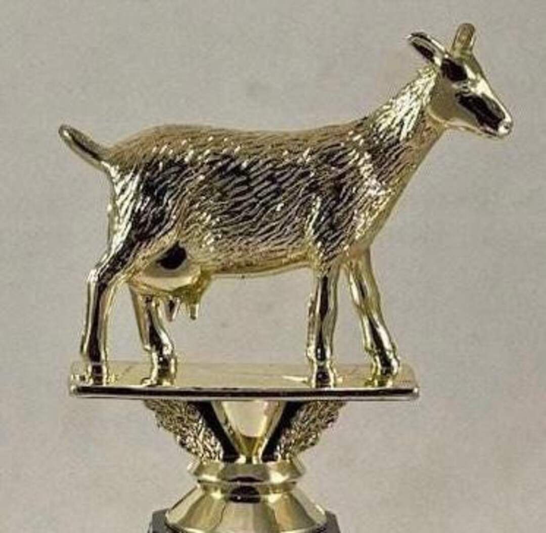 Greatest of All Time (goat) Trophy is 6 Inches Tall. Dedicating This ...
