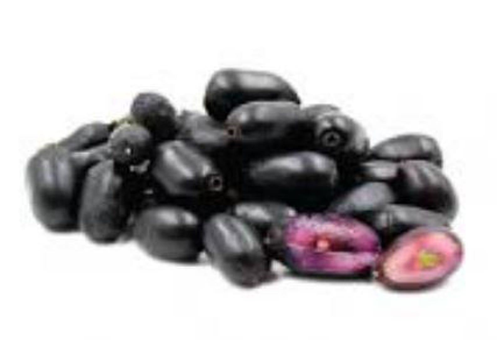 Java Plum |jamun Plant(1-2ft) in One Gal Pot , Syzygium Cumini, Black ...