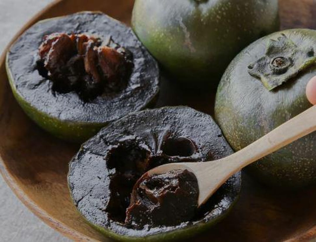 Black Sapote | Chocolate Pudding Fruit Tree in One Gal Pot - No ...