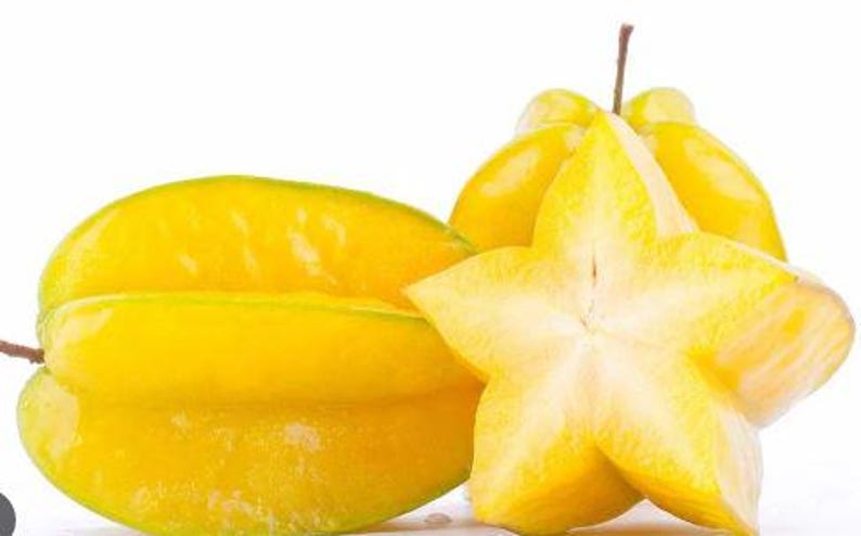 Star Fruit Tree Sweet Variety Live Plant in Half Gal Pot - Etsy