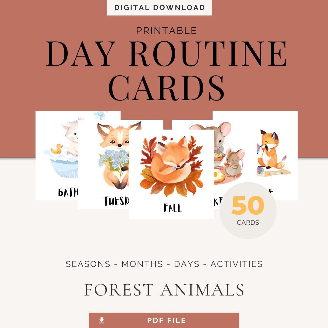 Daily Routine Cards Toddler Routine Chart Daily Rhythm Visual Schedule ...