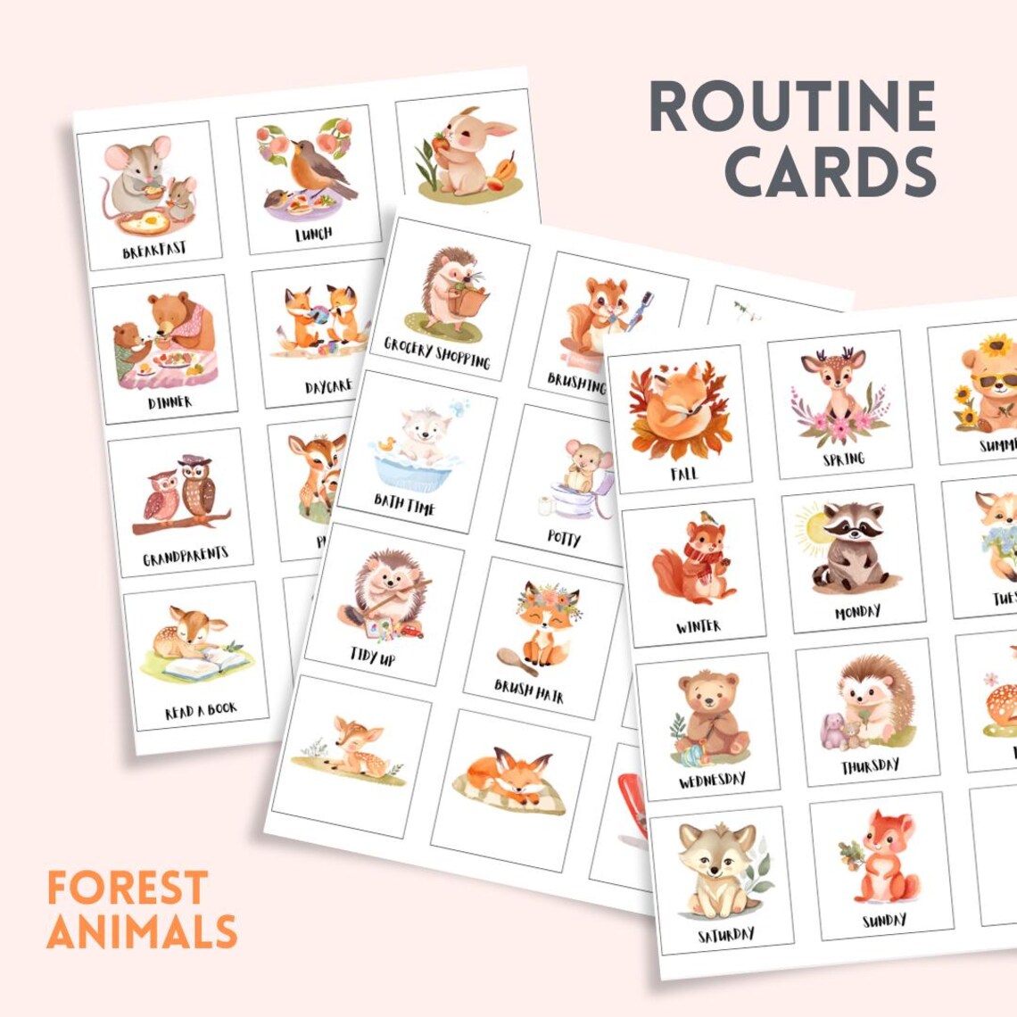 Daily Routine Cards Toddler Routine Chart Daily Rhythm Visual Schedule ...
