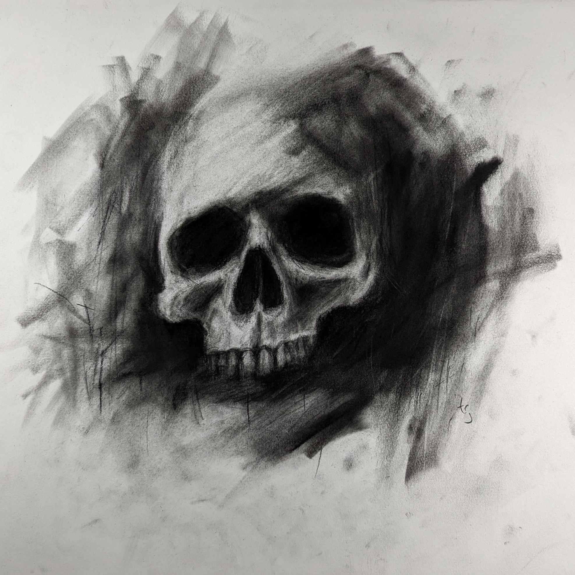 Original Charcoal Skull Drawing Black and White Art Realistic Skull ...
