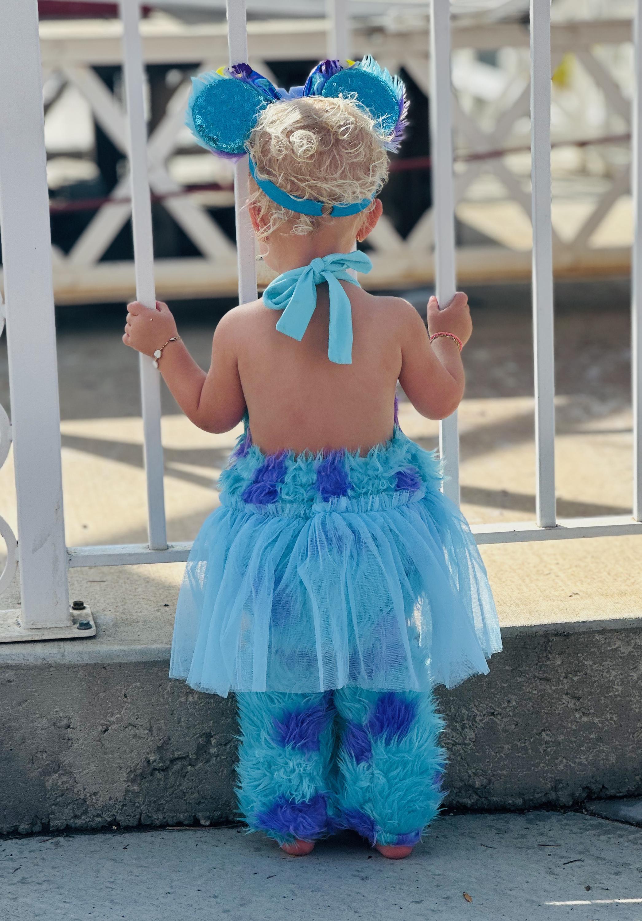 Monsters Inc Sulley Costume, Disneyland Baby Outfit, Pixar Sulley Baby ...