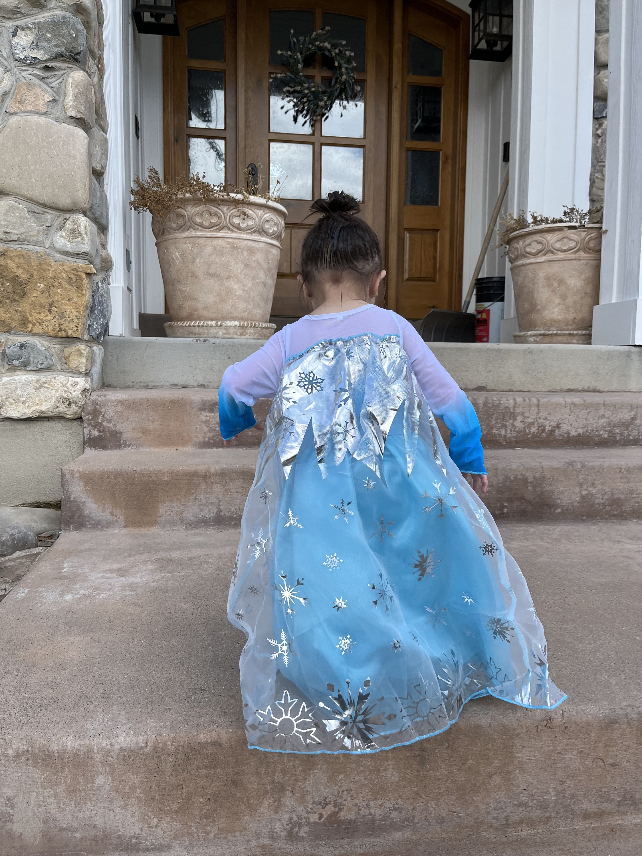 Elsa Costume Toddler Elsa Dress Frozen Elsa Costume - Etsy