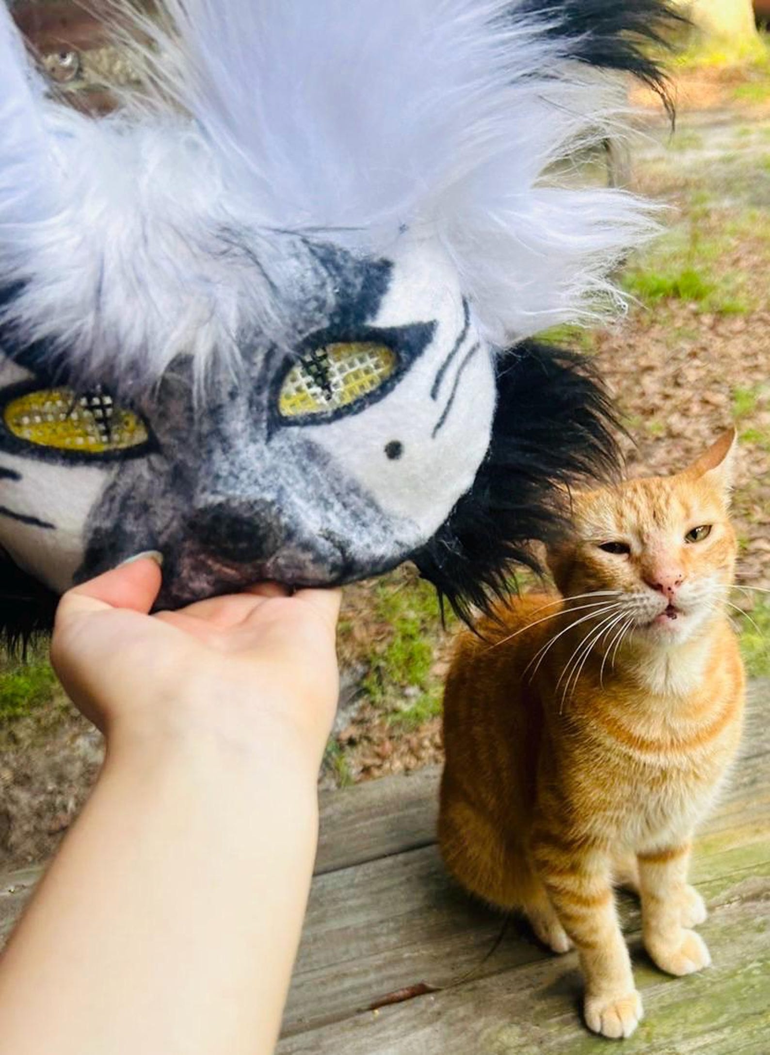 Rare Lynx Therian Mask . Fluffy and Furry Masks Hand Painted. Unique ...