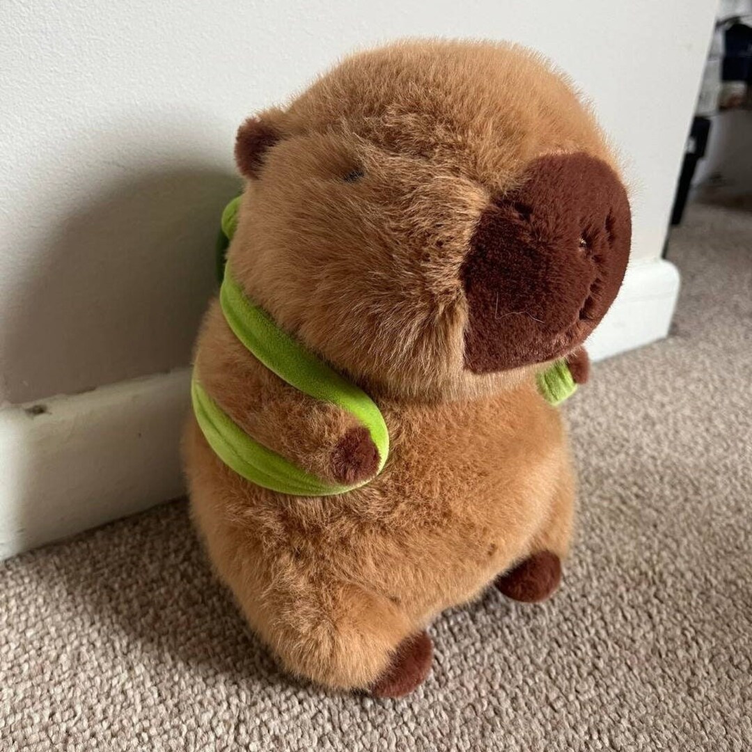 Buy Cute Funny Capybara Turtle Plushie, Plushie for Kids, Gift for Her ...